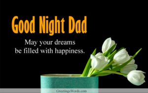 Good Night Messages For Dad