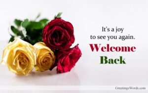 Welcome Back Messages And Wishes