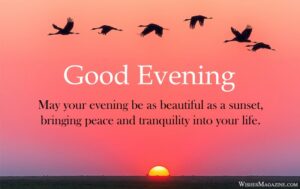 Good Evening Wishes | Good Evening Messages